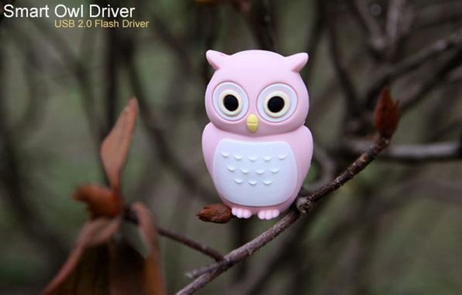 Beautiful Cute Cartoon Silicon Owl 16gb Usb Flash Disk on Luulla